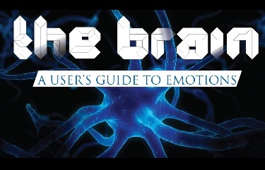 The Brain A User S Guide To Emotions Neurorelay